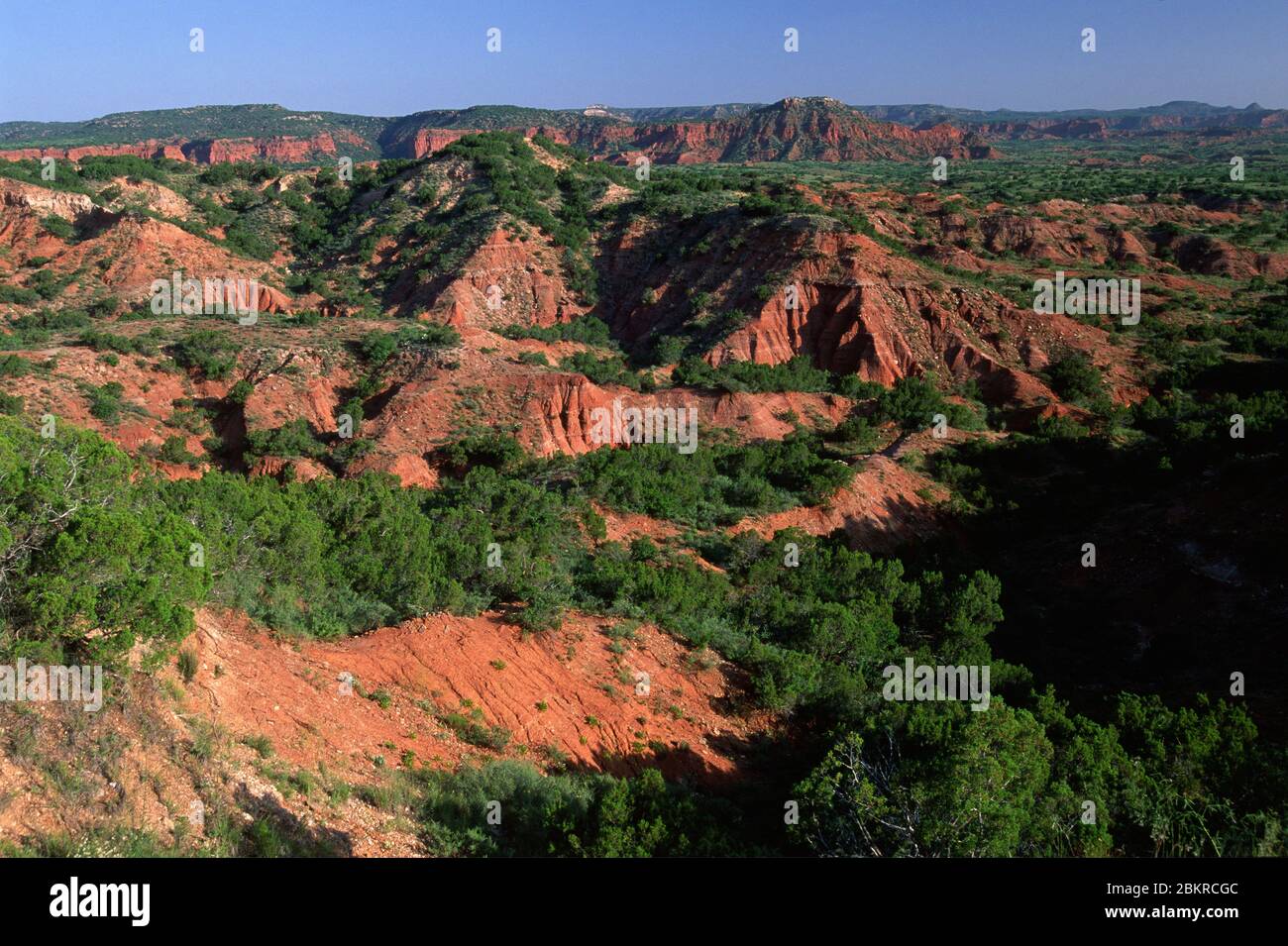 Desert overlook view, Caprock Canyons State Park, Texas Stock Photo - Alamy