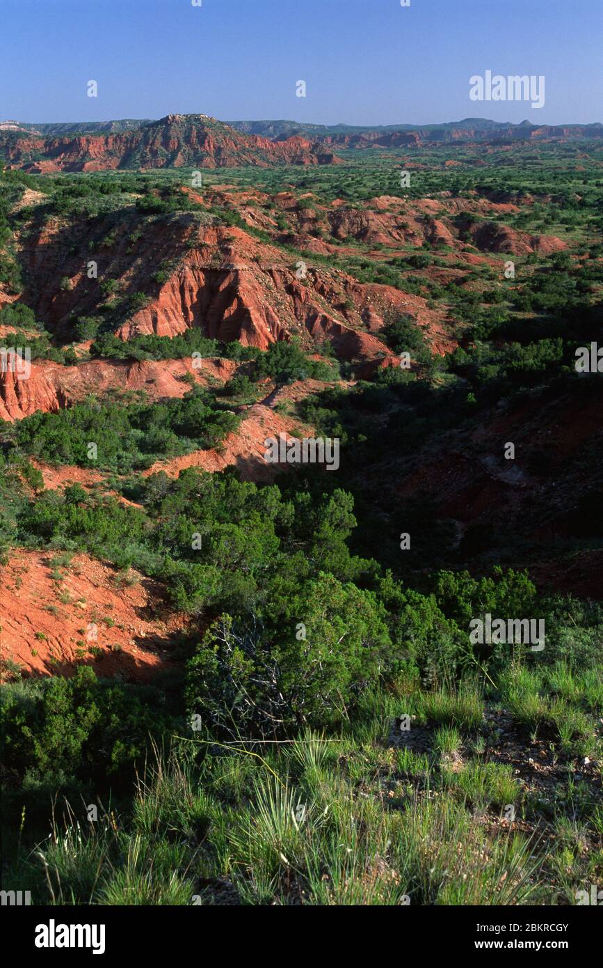 Desert overlook view, Caprock Canyons State Park, Texas Stock Photo - Alamy