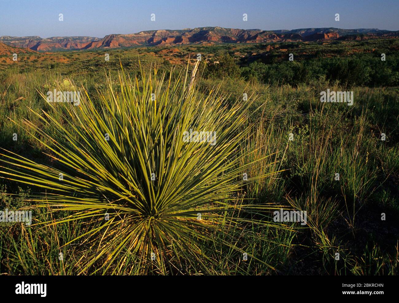 Desert overlook view, Caprock Canyons State Park, Texas Stock Photo - Alamy