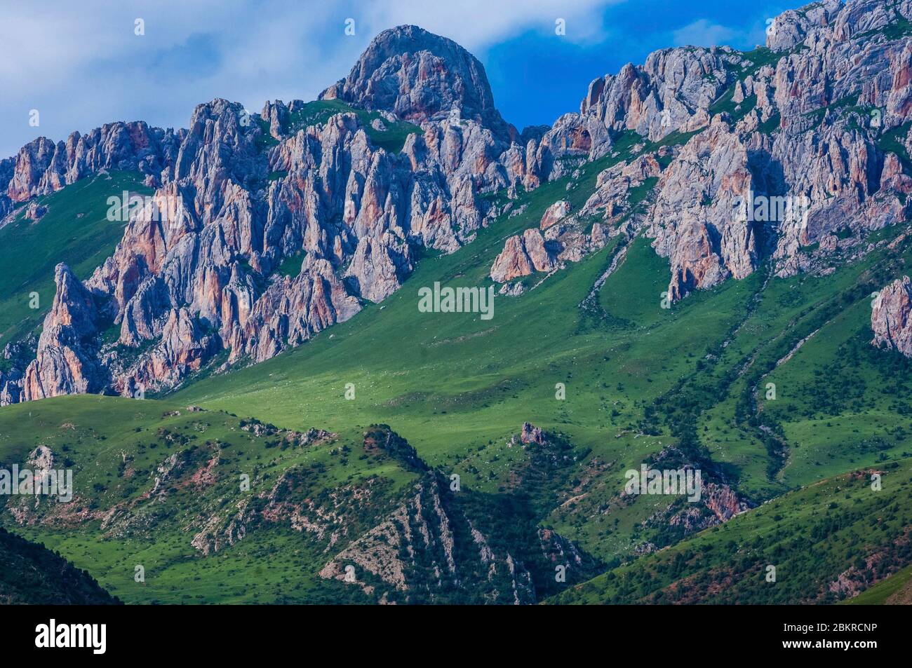 China, eastern Tibet, or Kham, Qinghai, Nagchu, pastures and karst ...