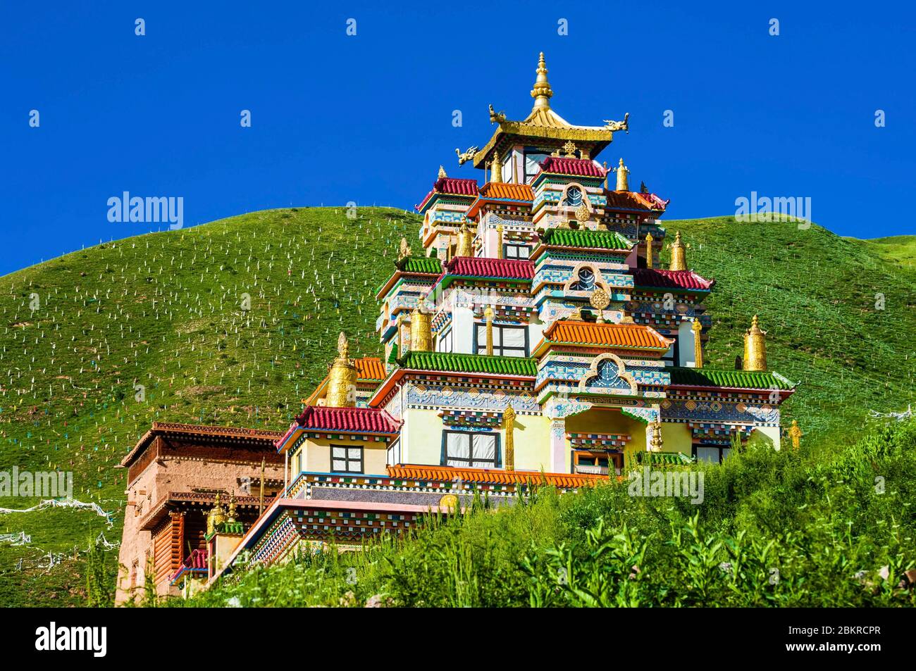 China, eastern Tibet, or Kham, Qinghai, Nagchu, Zurmang Namgyal Tse ...