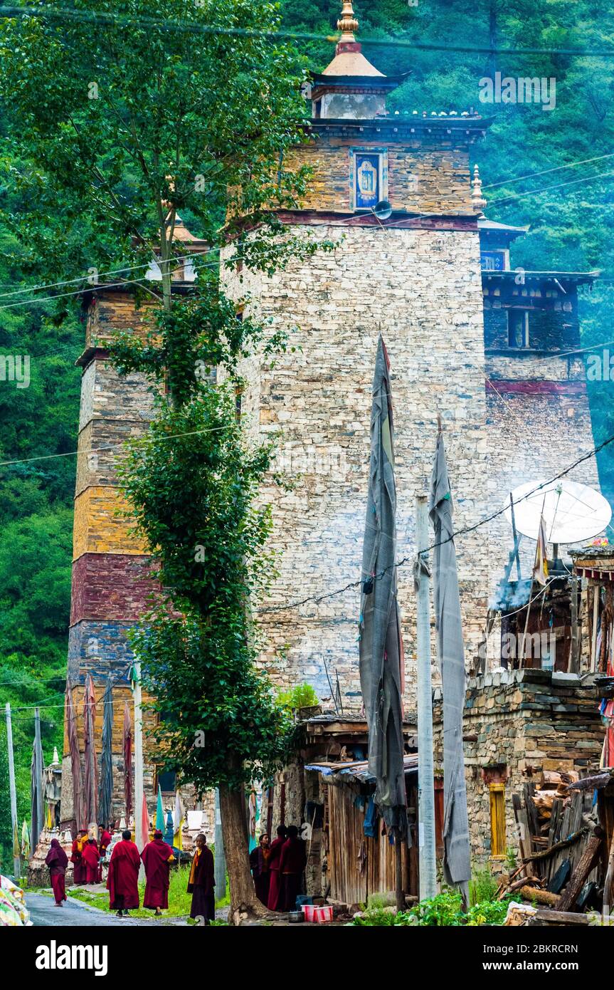 The vertical forest towers hi-res stock photography and images - Alamy