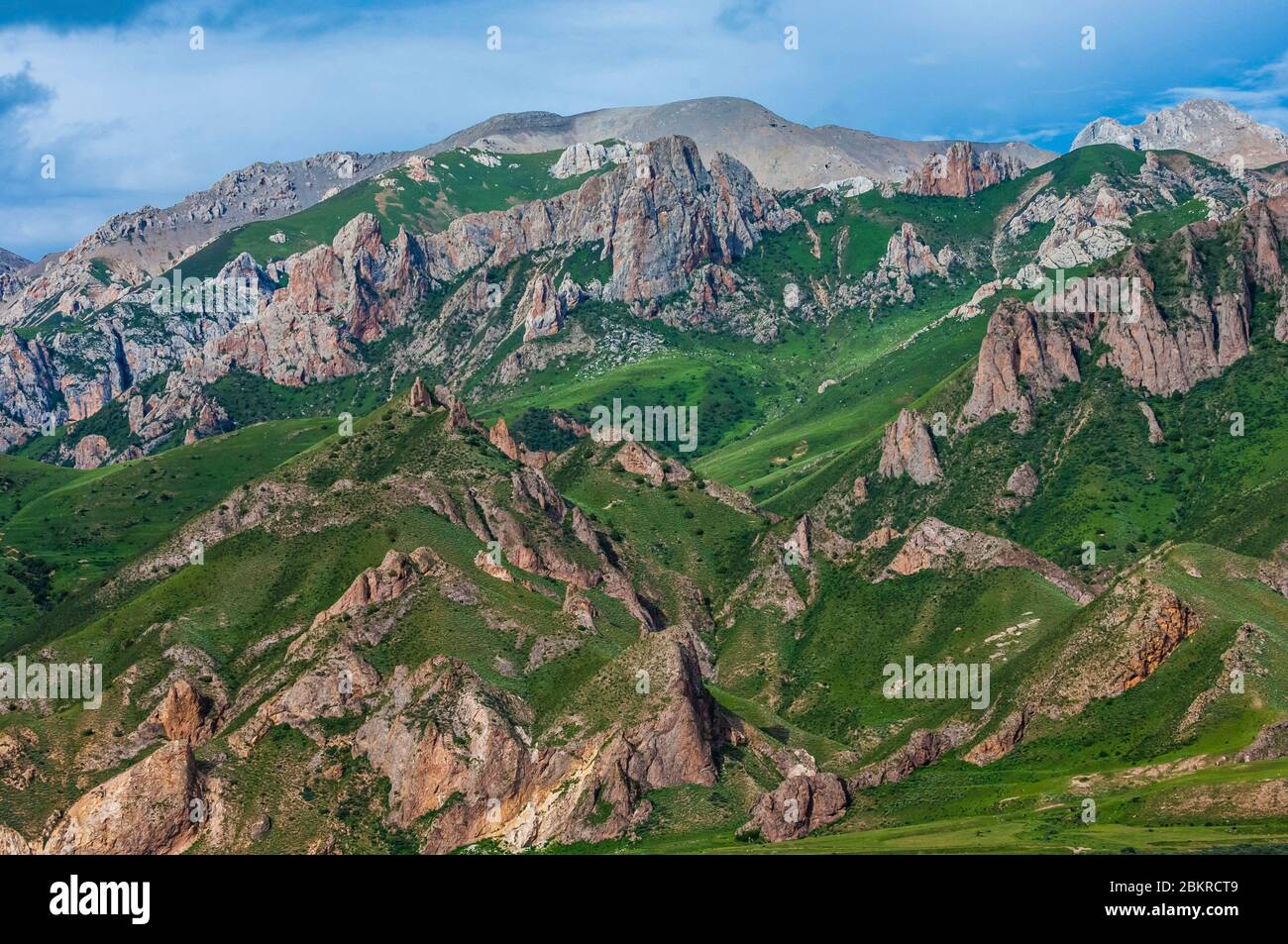 China, eastern Tibet, or Kham, Qinghai, Nagchu, pastures and karst ...