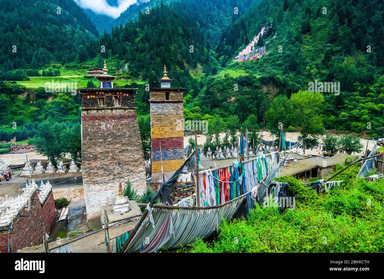 Pagoda forest hi-res stock photography and images - Alamy
