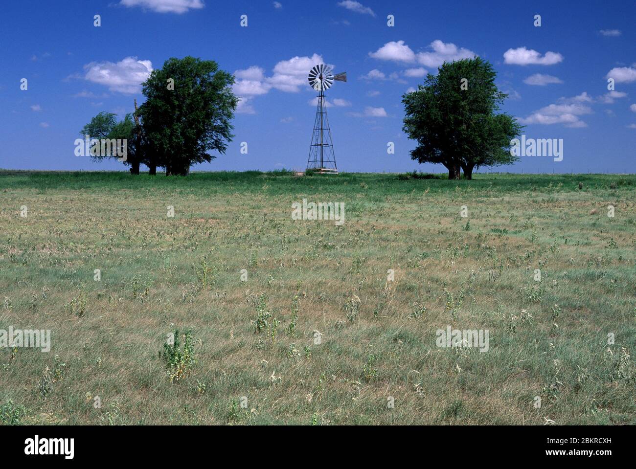 Windmill, Randall County, Texas Stock Photo - Alamy