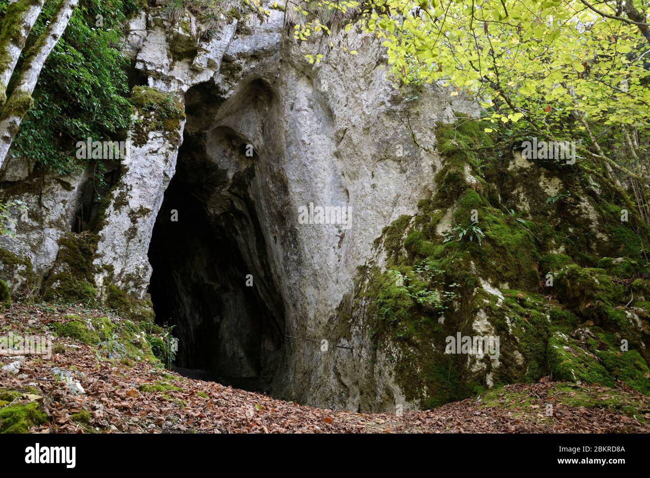 Prehistoric cave hi-res stock photography and images - Alamy