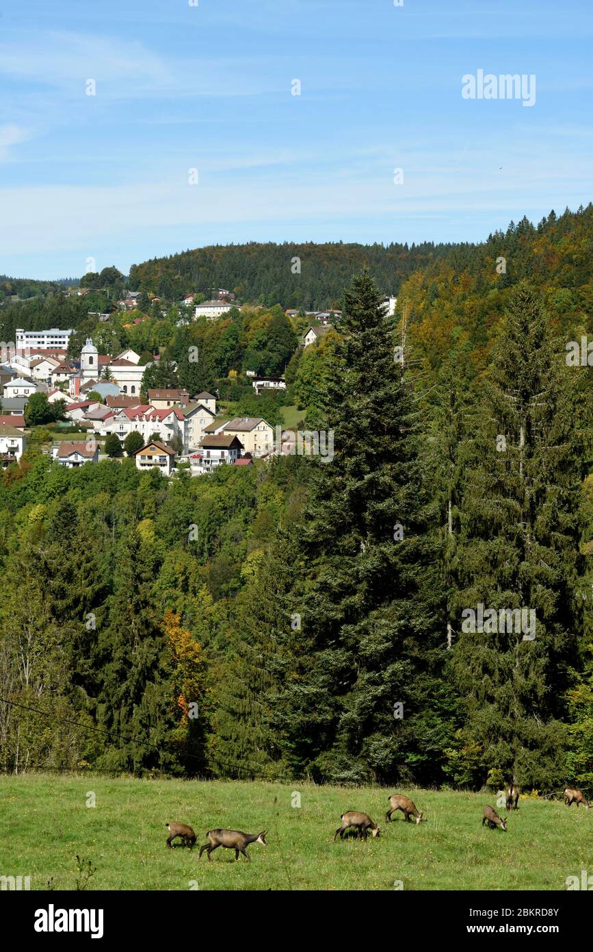 Morez hi-res stock photography and images - Alamy