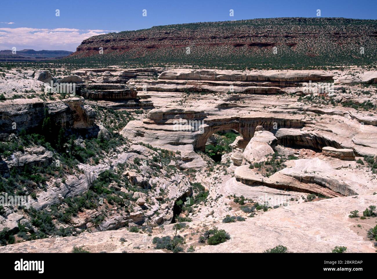 Sipapu Bridge, Natural Bridges National Monument, Utah Stock Photo - Alamy