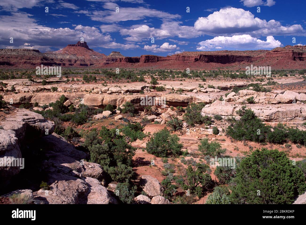 White Canyon to Jacob's Chair, Bicentennial Highway, San Juan County ...