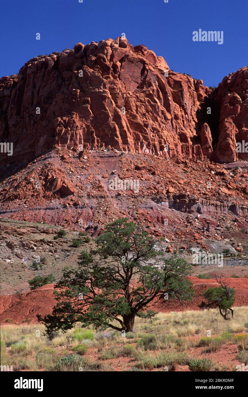 Chimney Rock Trailhead view, Capitol Reef National Park, Utah Stock ...