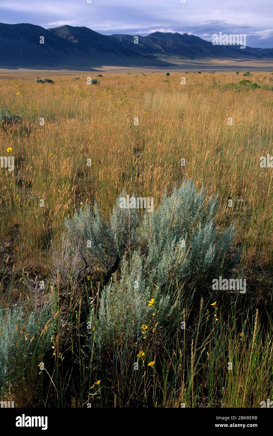 Box elder county hi-res stock photography and images - Alamy