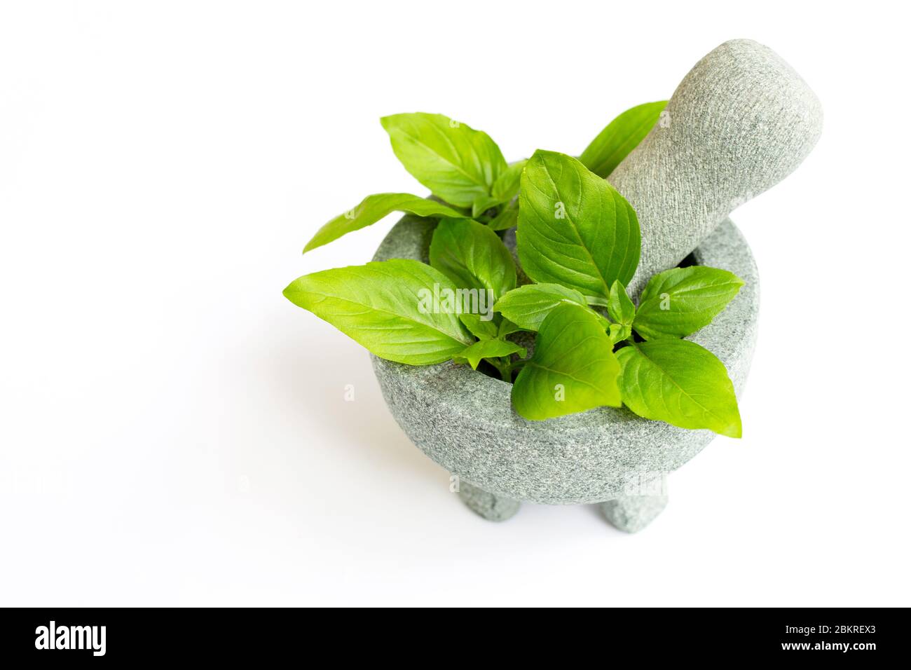 Basil leaves in stone Cut Out Stock Images & Pictures - Alamy