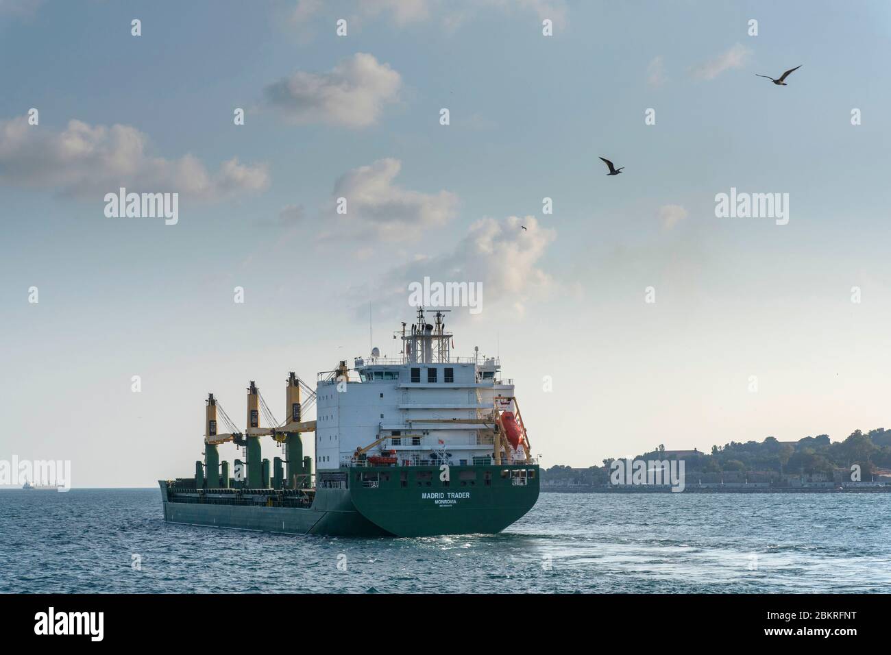 Turkey, Istanbul, cargo ship crossing the Bosphorus Stock Photo - Alamy
