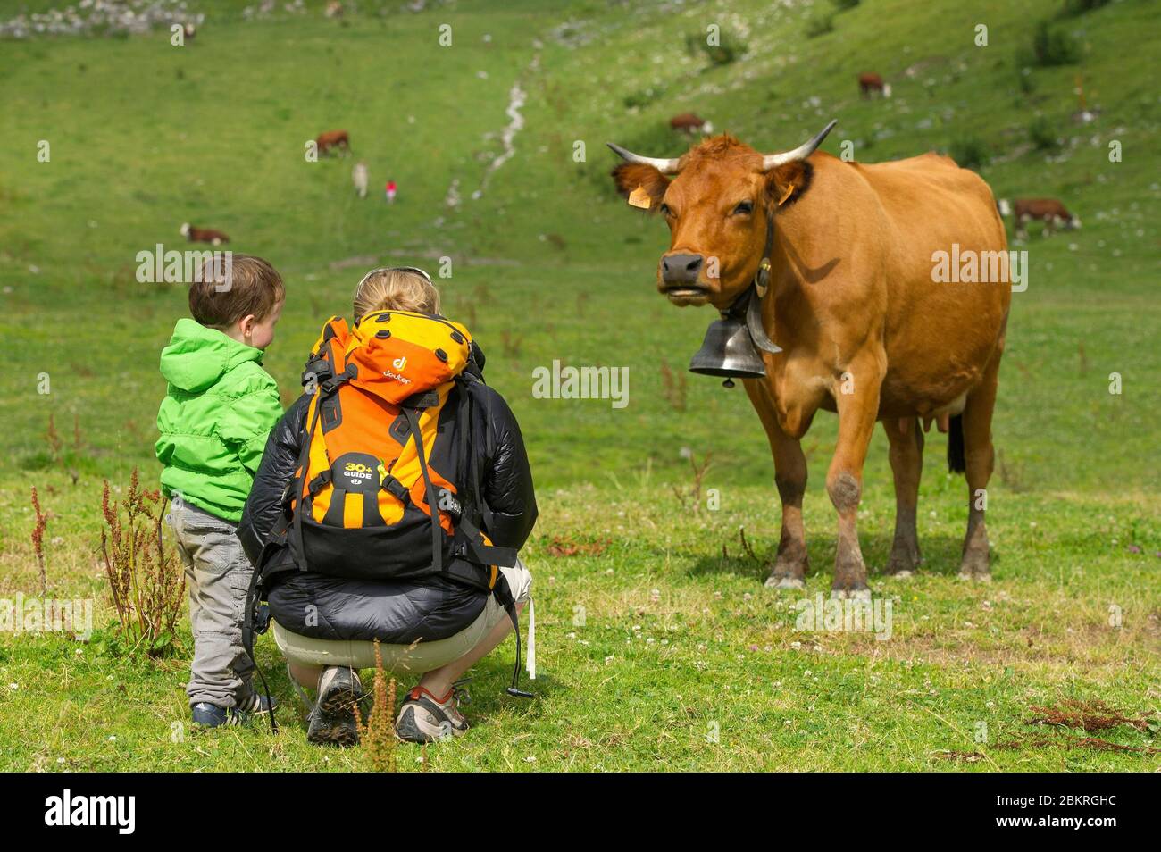Child and cow hi-res stock photography and images - Alamy