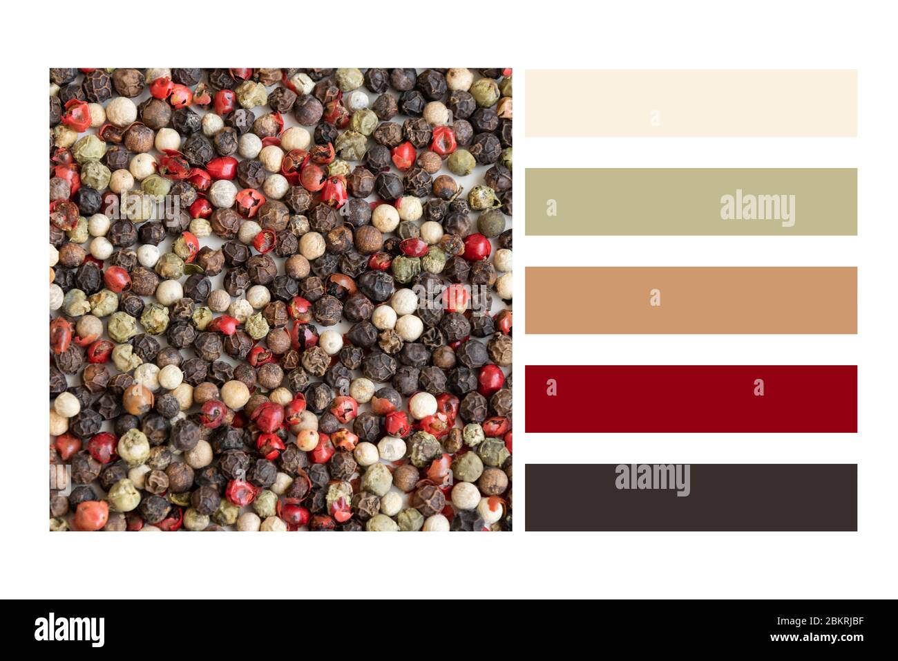 Mix of pepper seeds in a colour palette, with complimentary colour ...