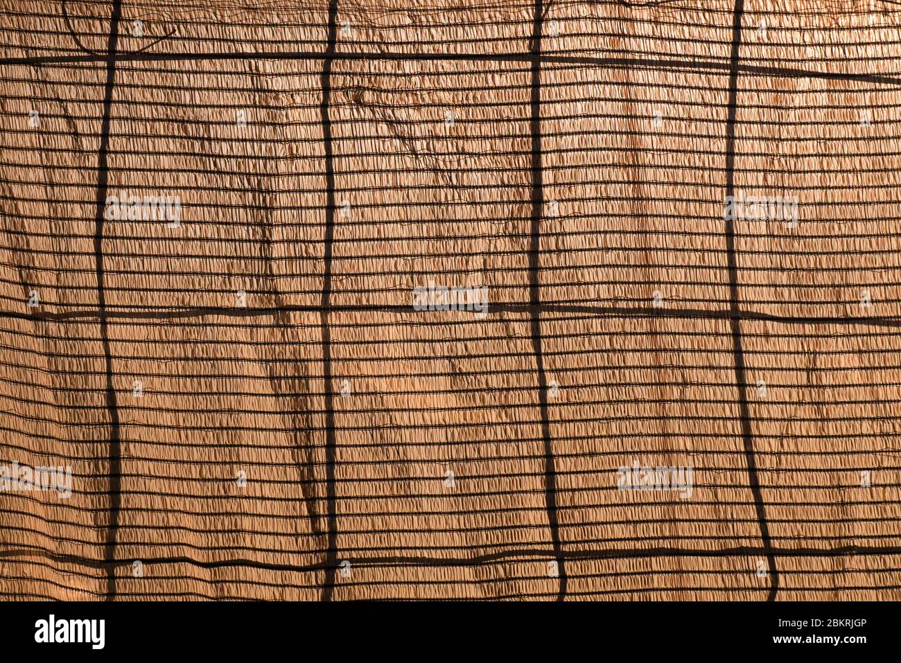 A Close Up Of A Golden Brown Back Lit Plastic Tarpaulin Behind A Square ...