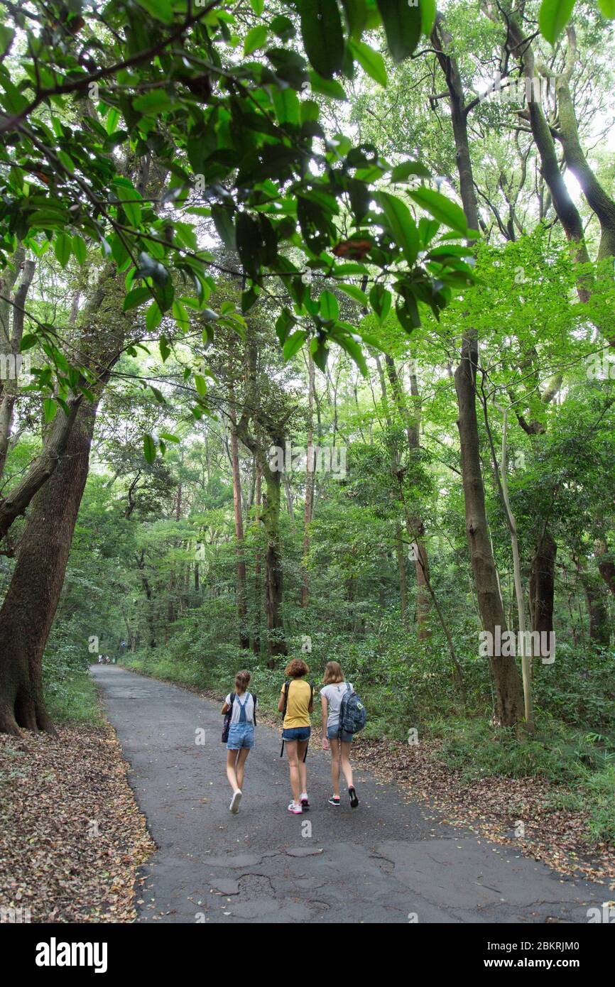 Japan, Honshu Island, Kanto region, Tokyo, Shibuya neighborhood ...