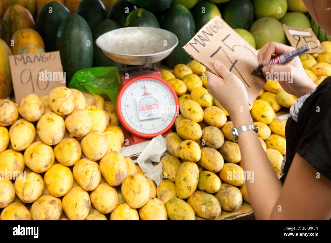 Philippine Mango Fruit