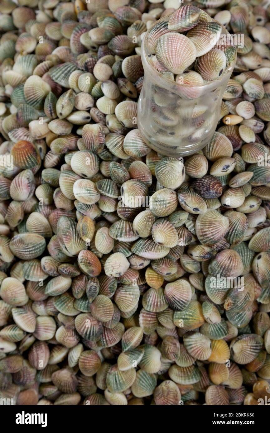 Philippines, Palawan, El Nido, Bacuit Archipelago, market, shells Stock ...