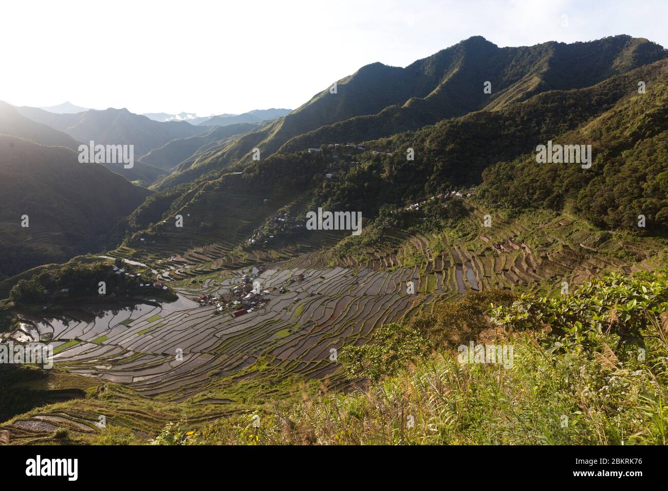 Philippines, Luzon island, Ifugao province, Batad village, rice field ...