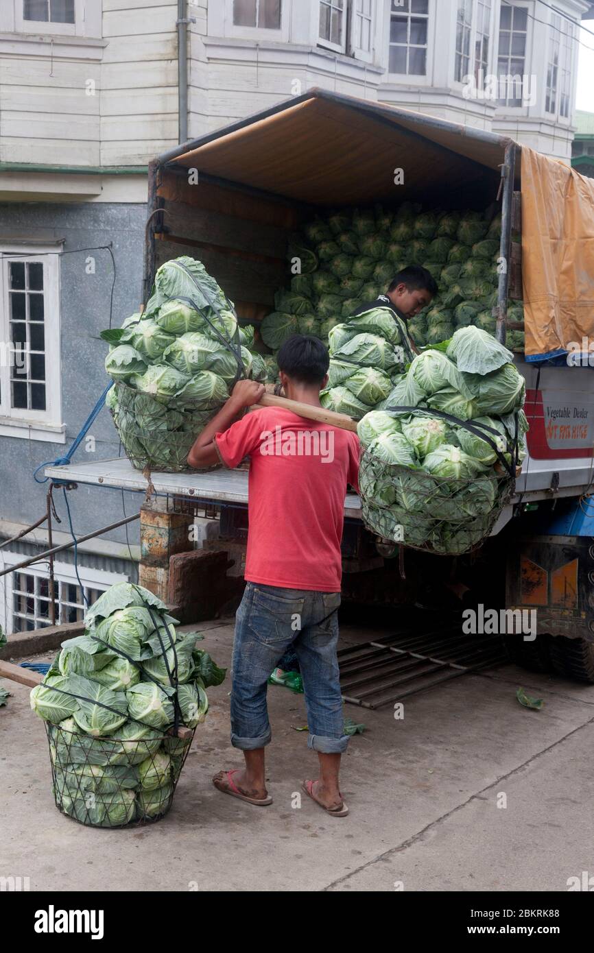 Philippines, Luzon Island, Ifugao Province, around Batad, Cabbage Stock ...