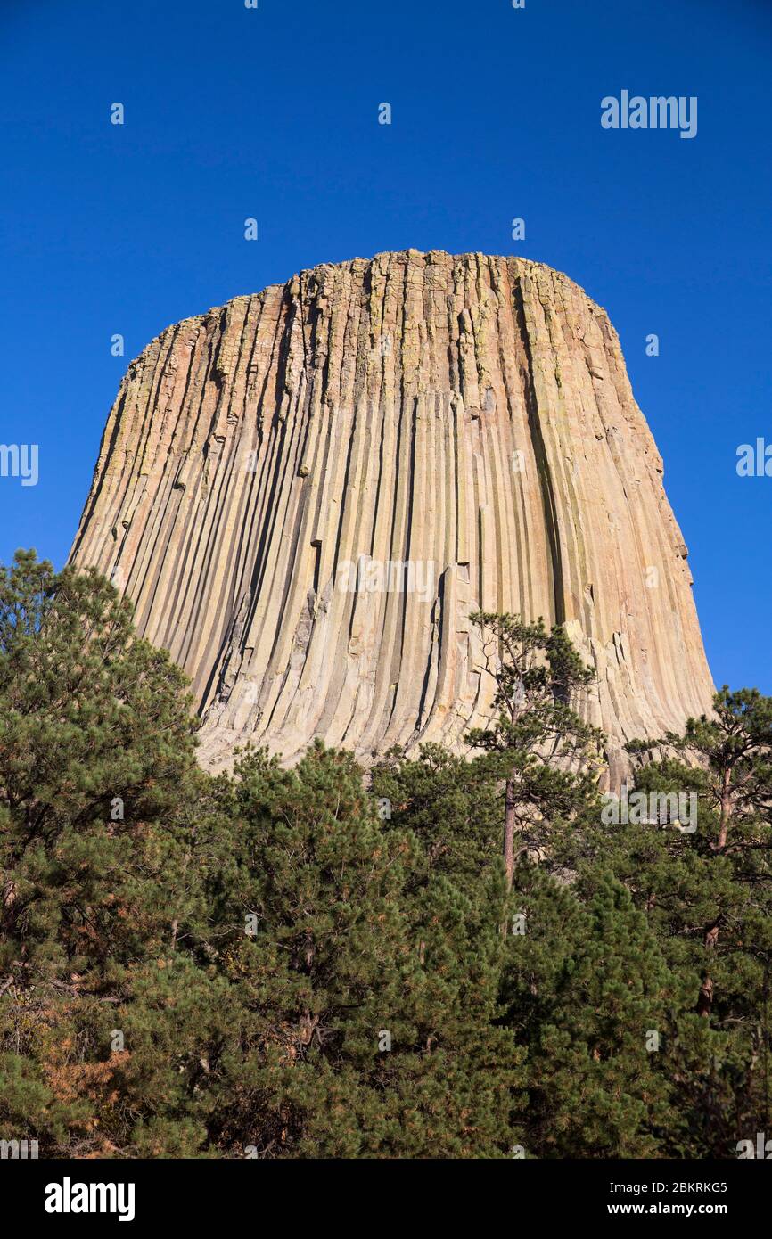 United States, Wyoming, Devils Tower (Devil's Tower) is a monolith of ...