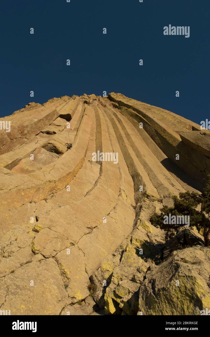 United States, Wyoming, Devils Tower (Devil's Tower) climbing in El ...