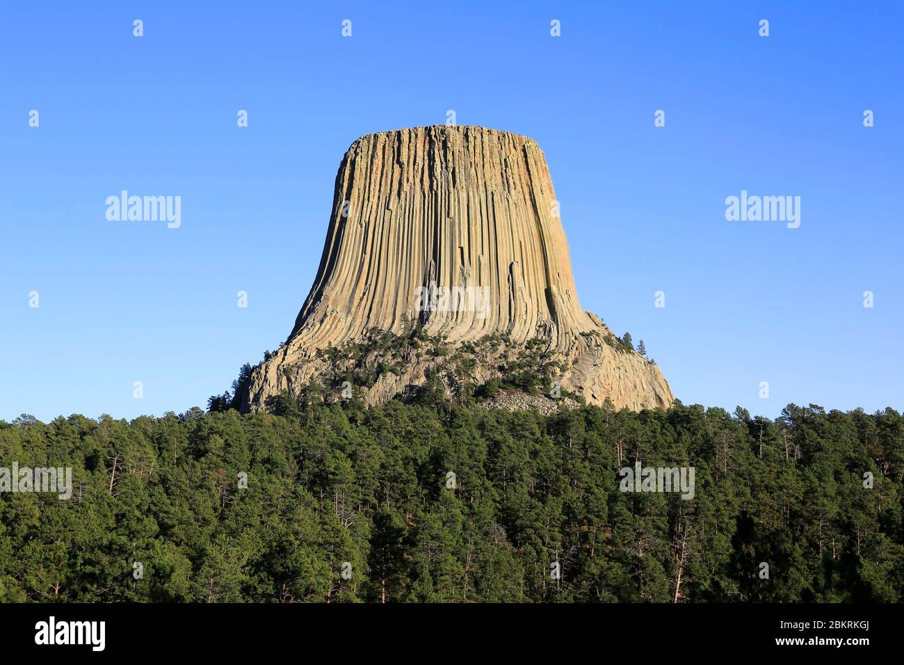 United States, Wyoming, Devils Tower (Devil's Tower) is a monolith of ...