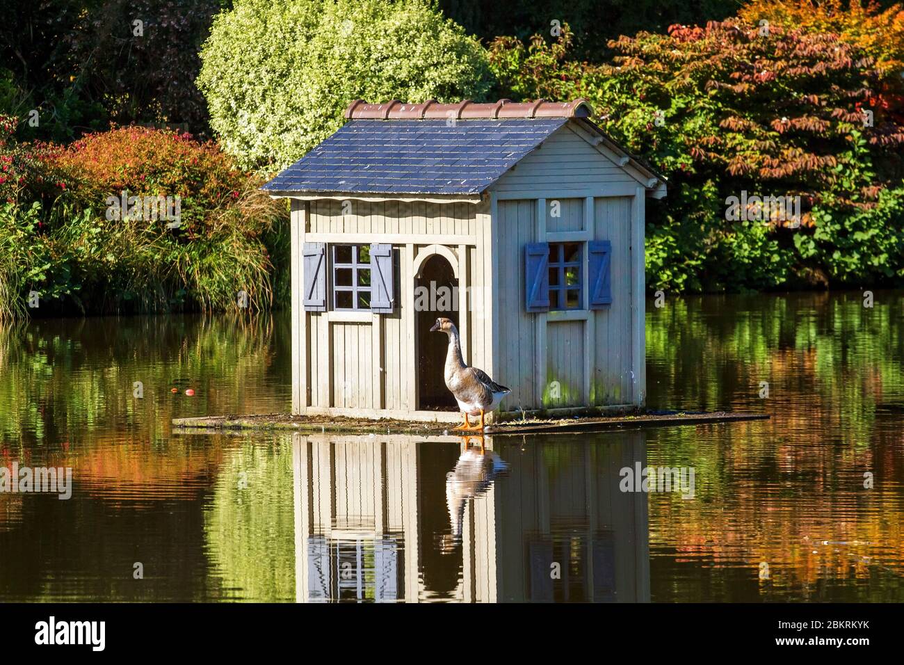 Goose house hi-res stock photography and images - Alamy