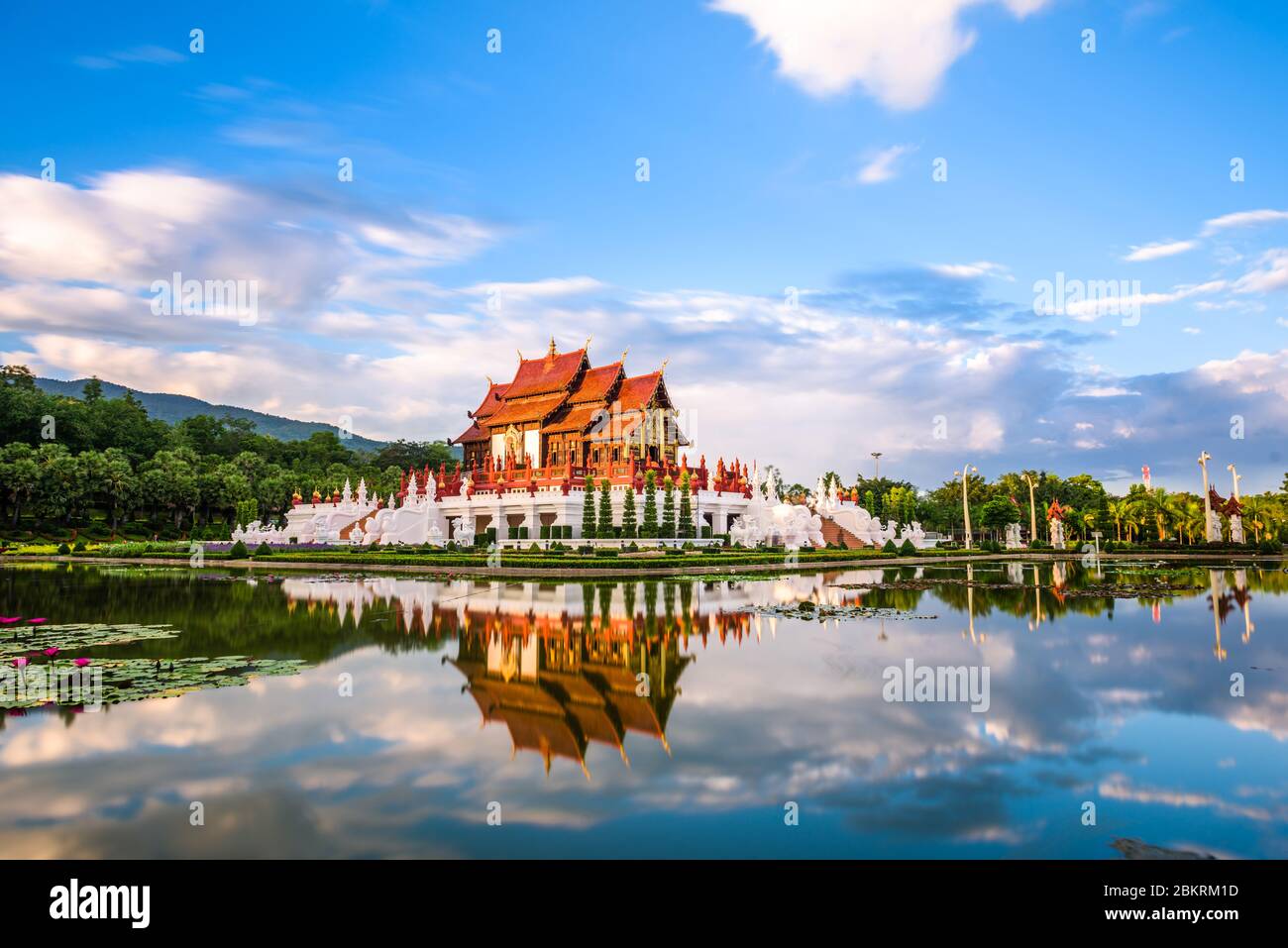 Ratchaphruek hi-res stock photography and images - Alamy