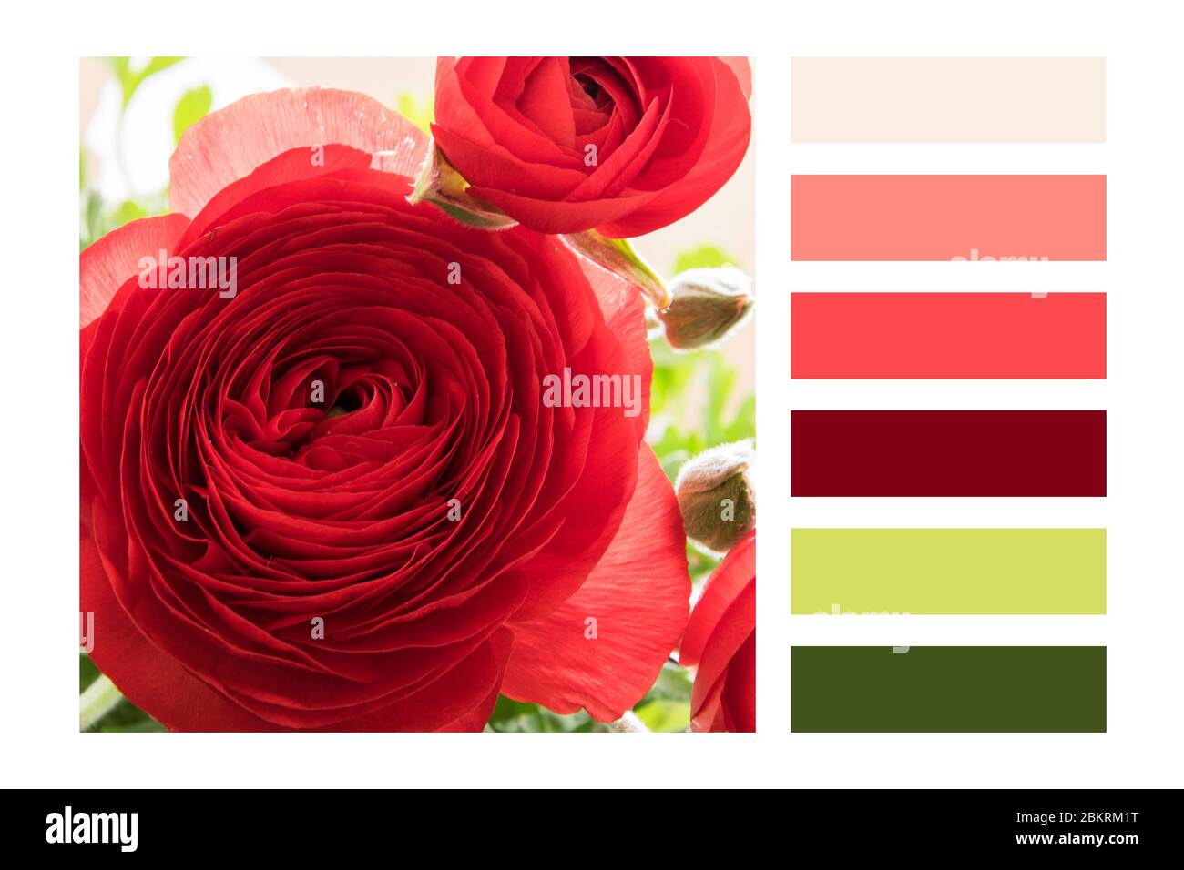Bright color scheme hi-res stock photography and images - Alamy