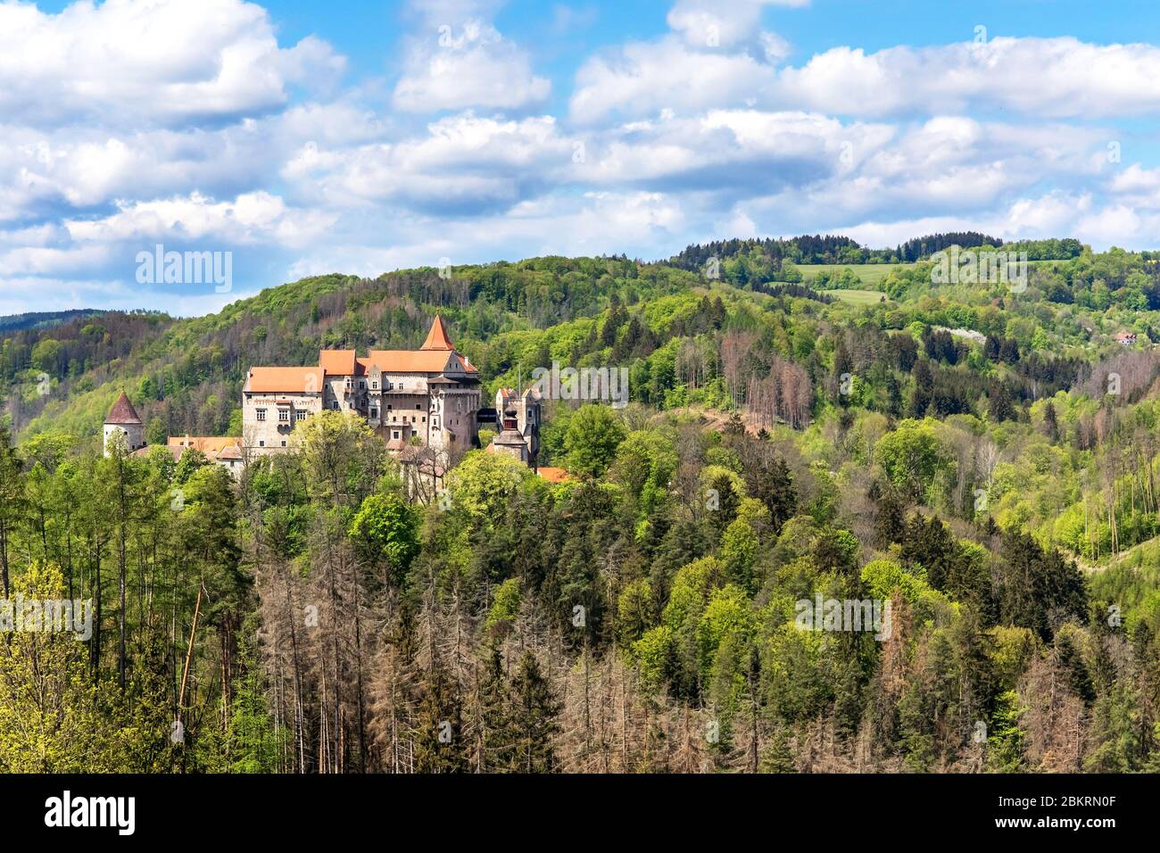 Medieval castle of Pernstein on a hill in the forest. Built in the ...