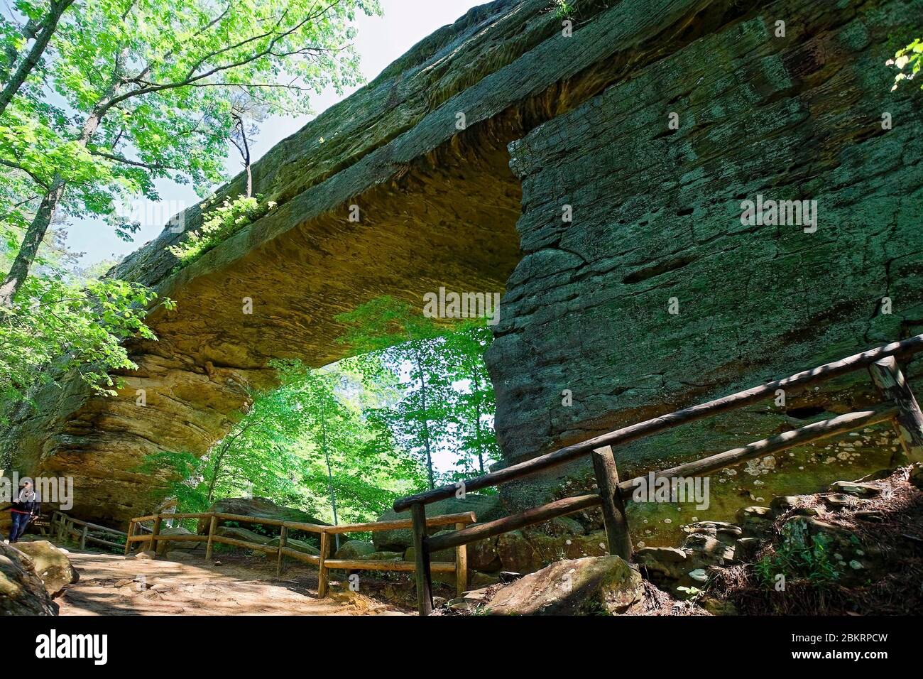 Natural Bridge, large sandstone arch, erosion, 78' wide, 65' high, wood ...