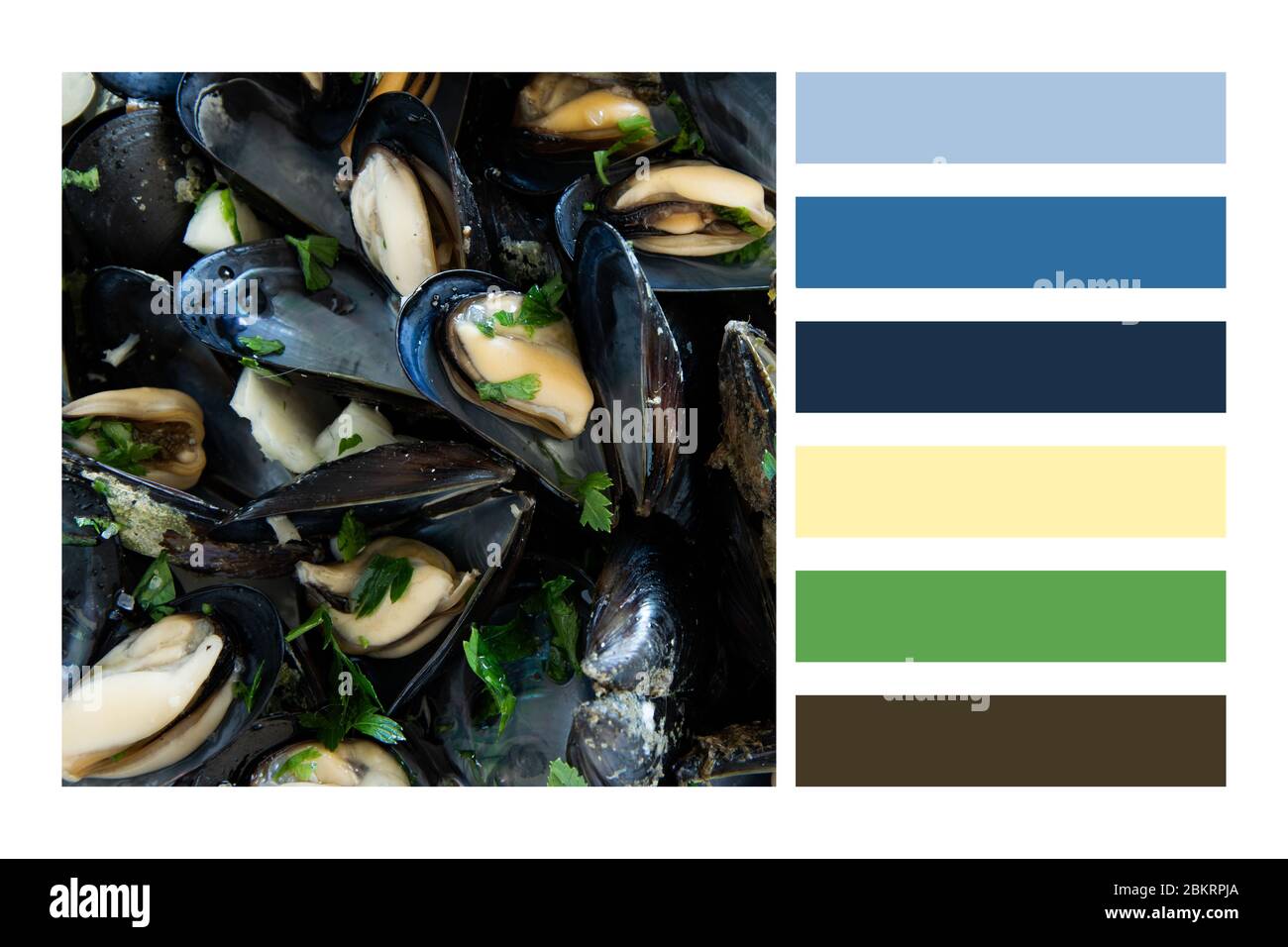 Close up view of cooked black mussel in a colour palette, with ...