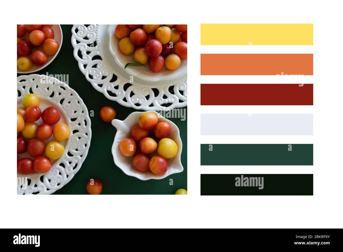 Green and white color scheme Cut Out Stock Images & Pictures - Alamy