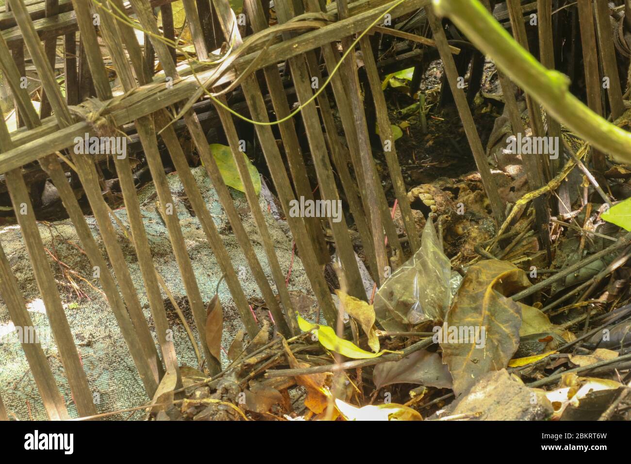 Grave of bamboo sticks in a cemetery in Terunyan village. Traditional ...
