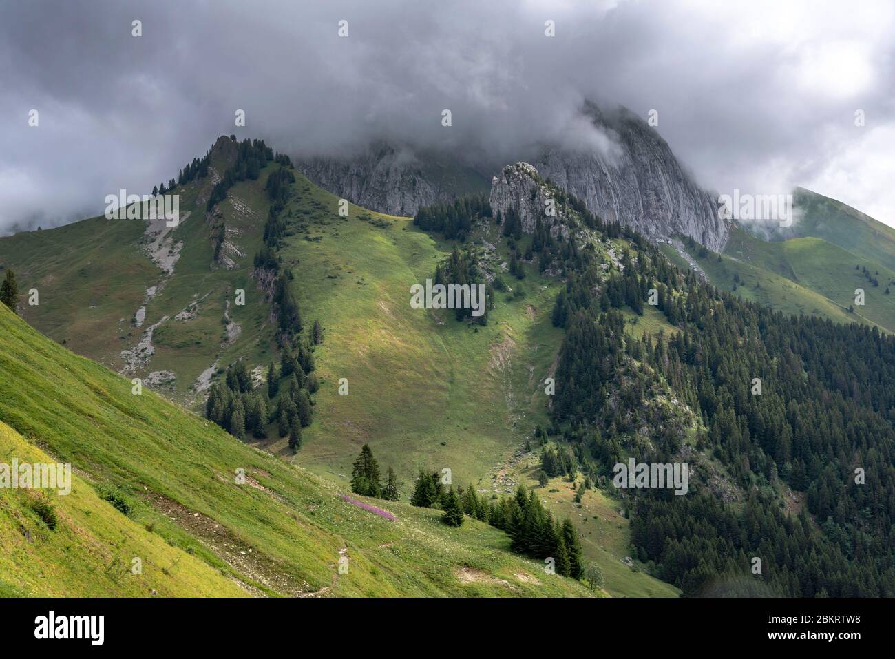 Le bise hi-res stock photography and images - Alamy