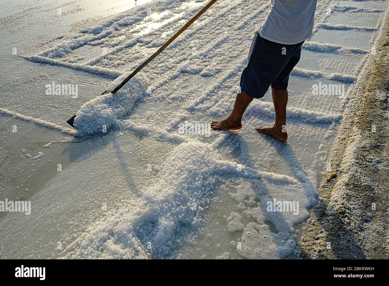 Vietnam, Ninh Thuan province, Phan Rang, salin, harvesting salt in the ...