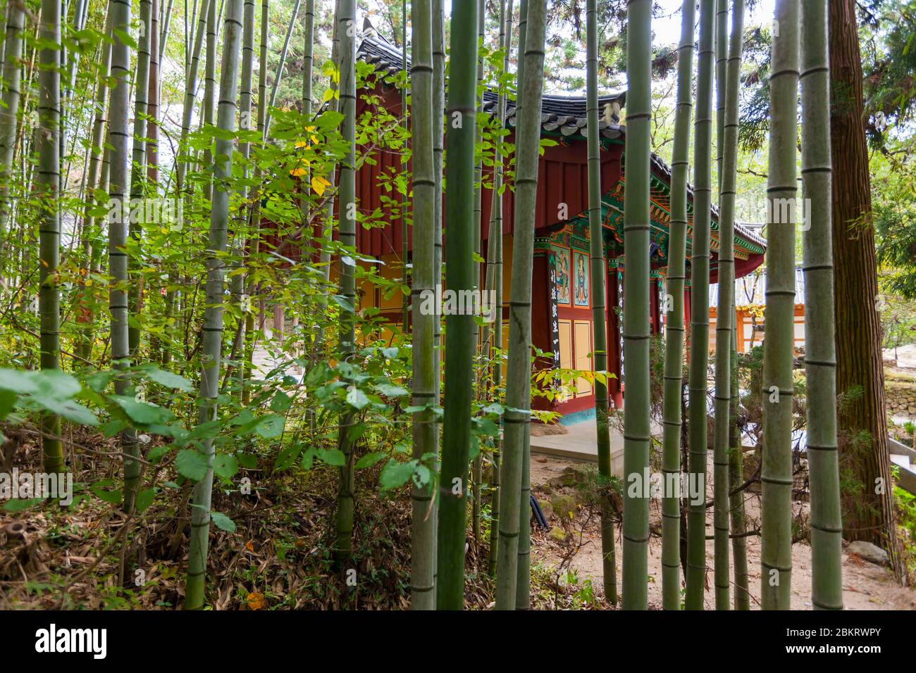 Bamboo pavilion architecture hi-res stock photography and images - Alamy