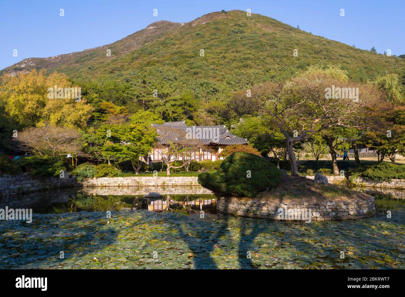 South Korea, South Jeolla Province, Jindo Island, pond, temple and ...