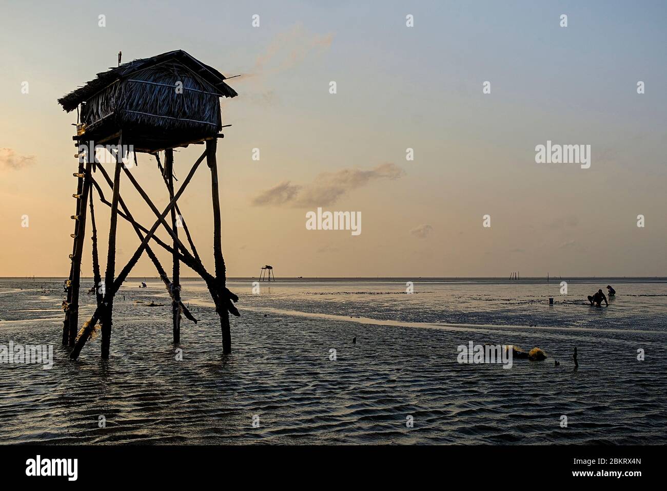 Stilt House Vietnam High Resolution Stock Photography and Images - Alamy