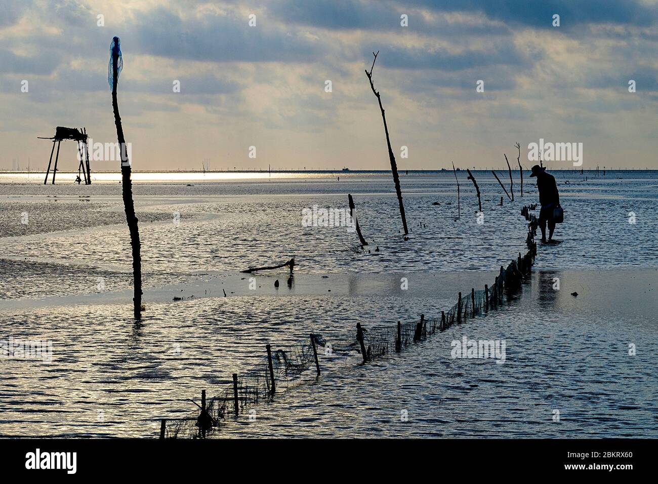 Vietnam, province of Tien Giang, Go Cong, the beach, fishing from the ...