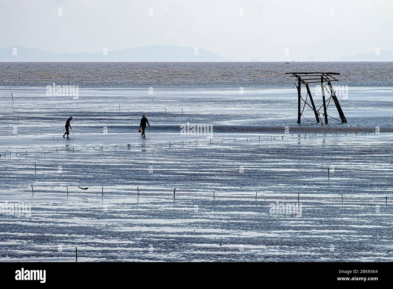 Vietnam, province of Tien Giang, Go Cong, the beach, fishing from the ...