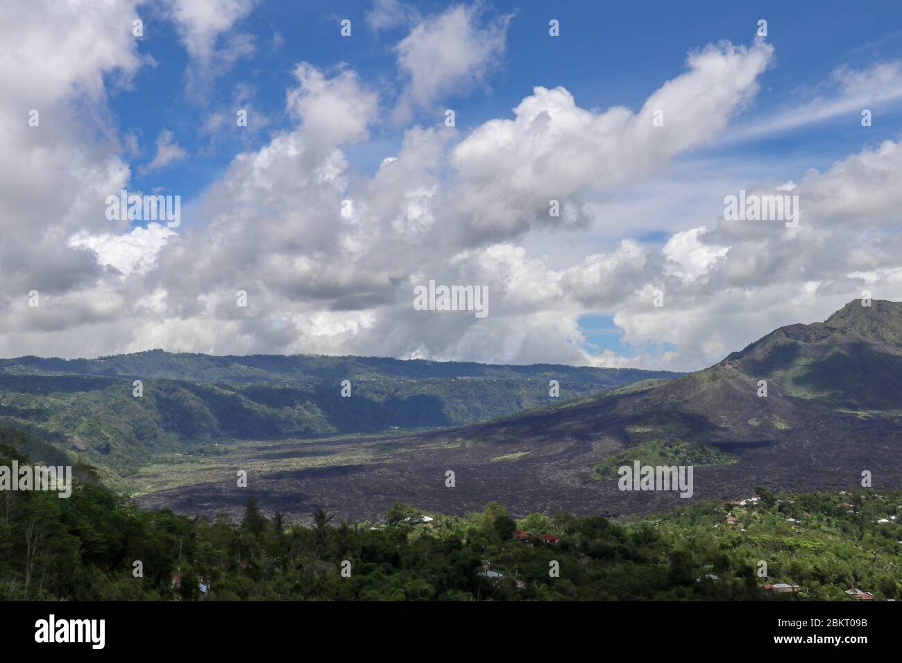 Volcano landscape with lava fields, pine tree forest and farms and ...