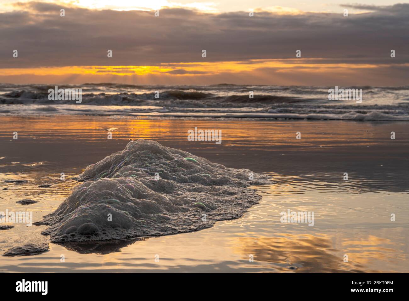 France, Somme (80), Quend-Plage one evening on the beach in Quend, scum ...