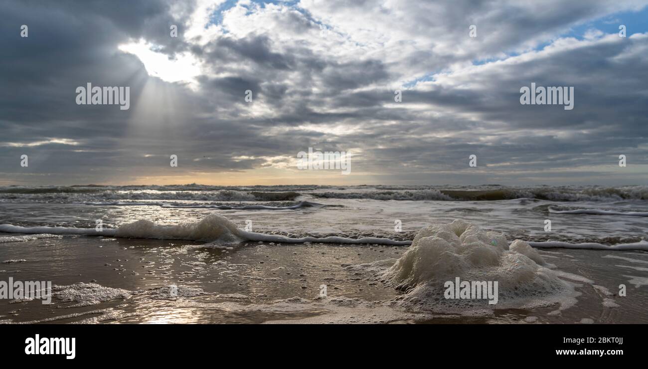 Sea scum hi-res stock photography and images - Alamy