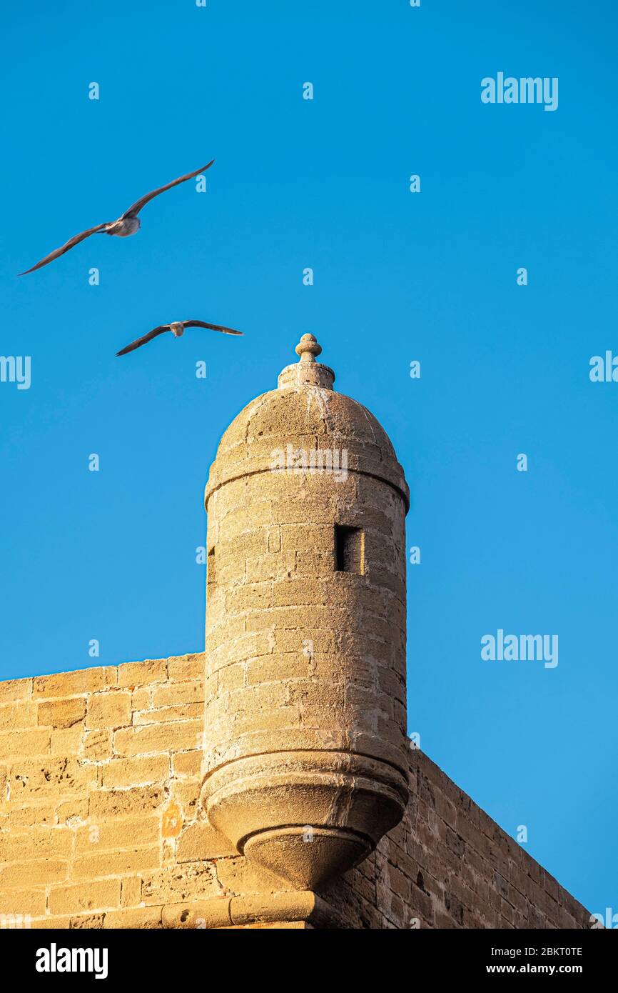 Morocco, Marrakech Safi, Essaouira, traditional fishing harbour, Sqala ...