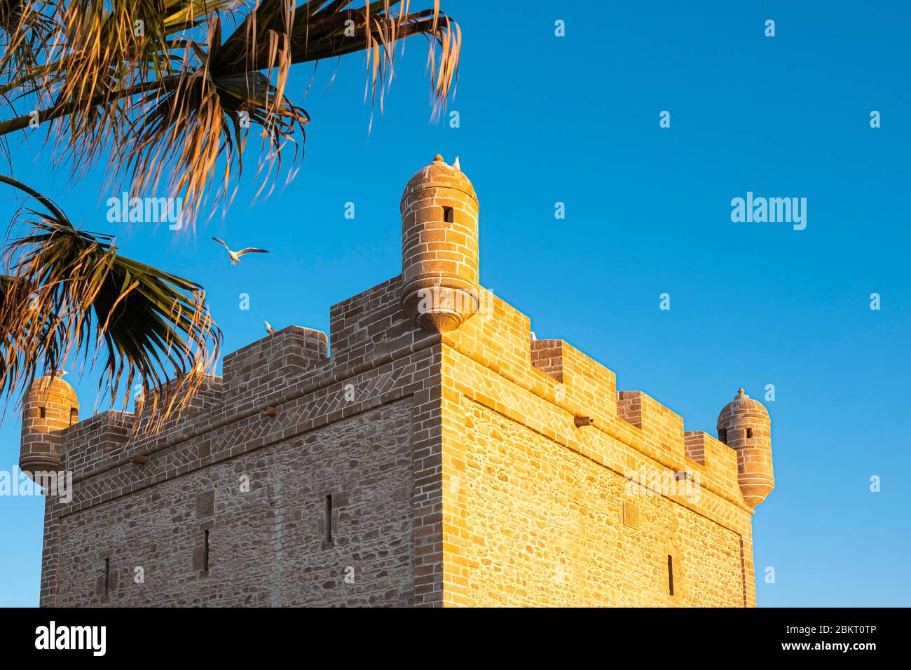 Morocco, Marrakech Safi, Essaouira, traditional fishing harbour, Sqala ...