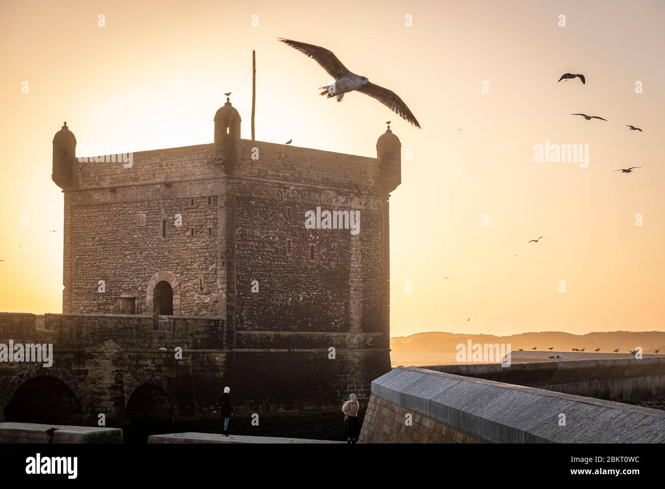 Morocco, Marrakech Safi, Essaouira, traditional fishing harbour, Sqala ...