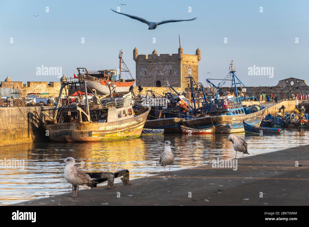 Morocco, Marrakech Safi, Essaouira, traditional fishing harbour, Sqala ...